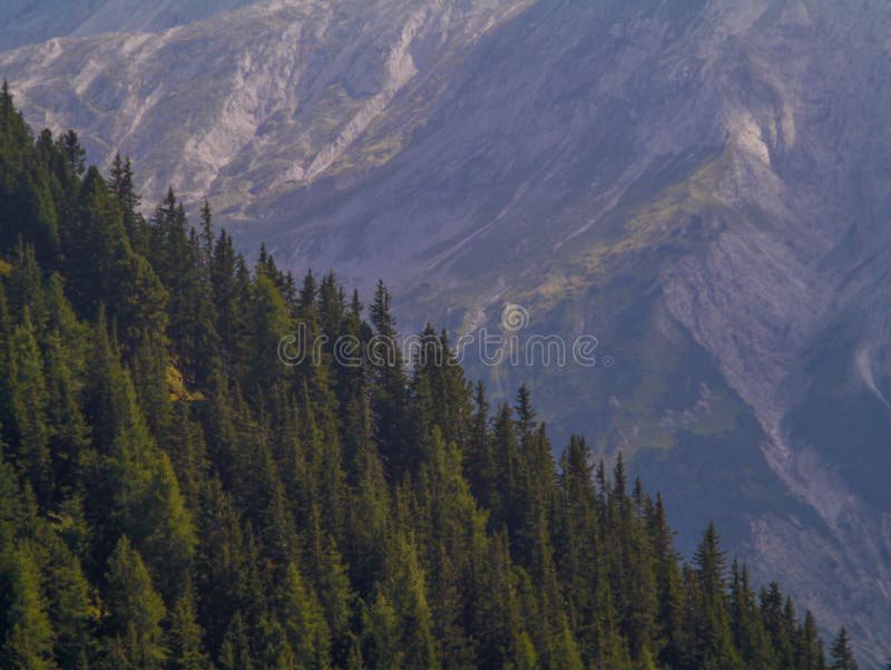 Half forest half mountain stock image. Image of green - 98531417