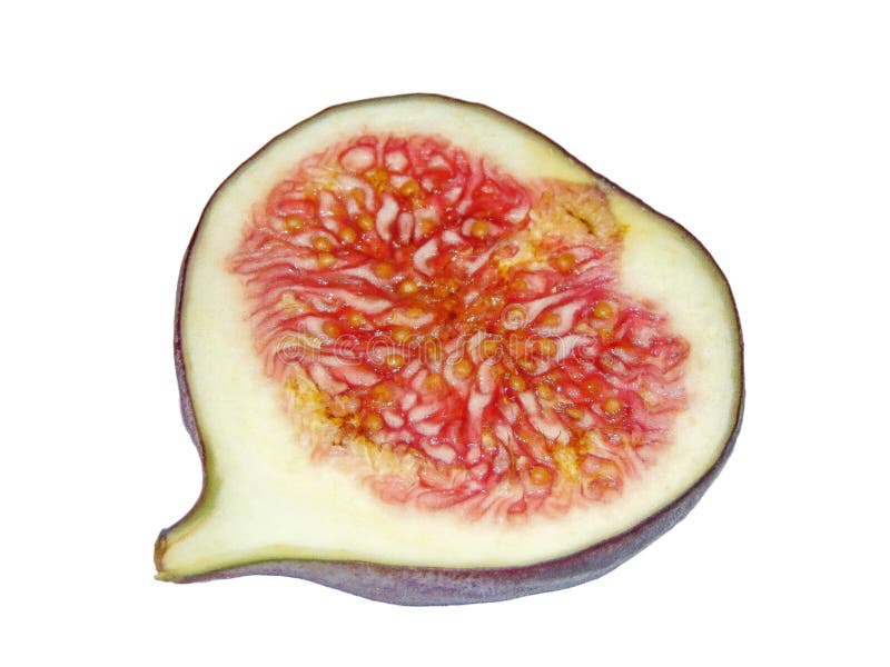 Half of a Fresh Fig. Fig Isolated on White Stock Photo - Image of ...
