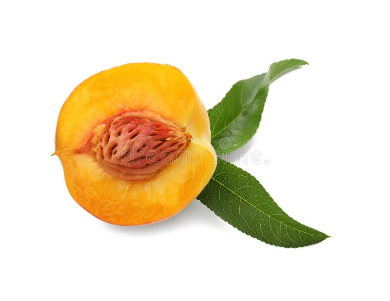 Half of Fresh Peach on White Background Stock Image - Image of health ...