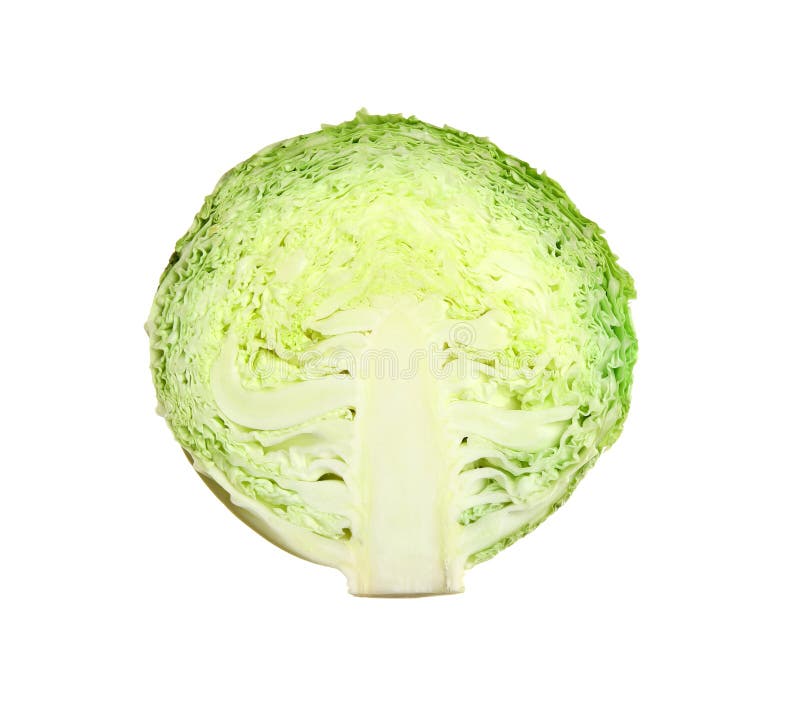 Half of Fresh Ripe Cabbage Isolated on White Stock Photo - Image of ...