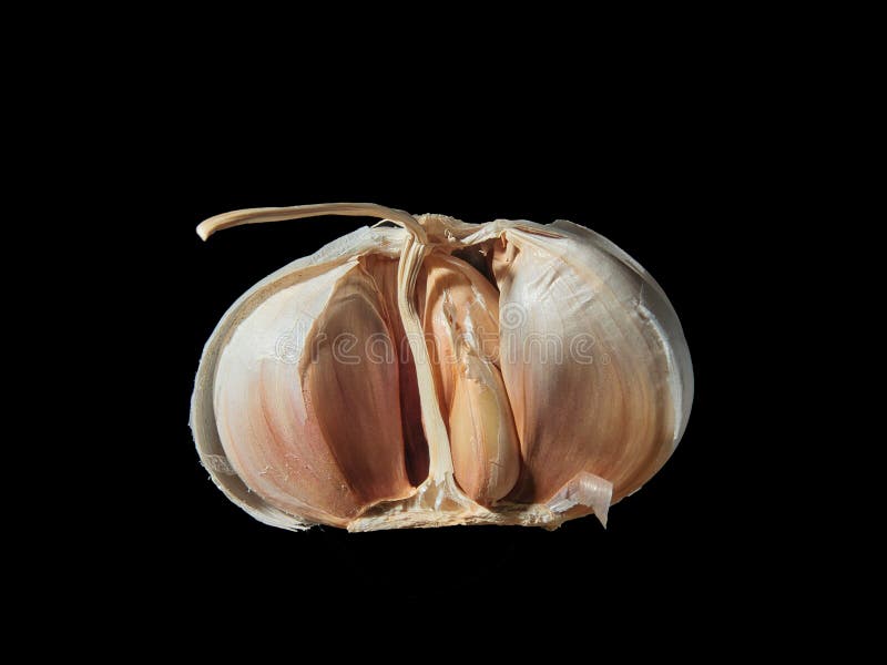 Half a Garlic Bulb with Cloves on Black Background Stock Photo - Image ...