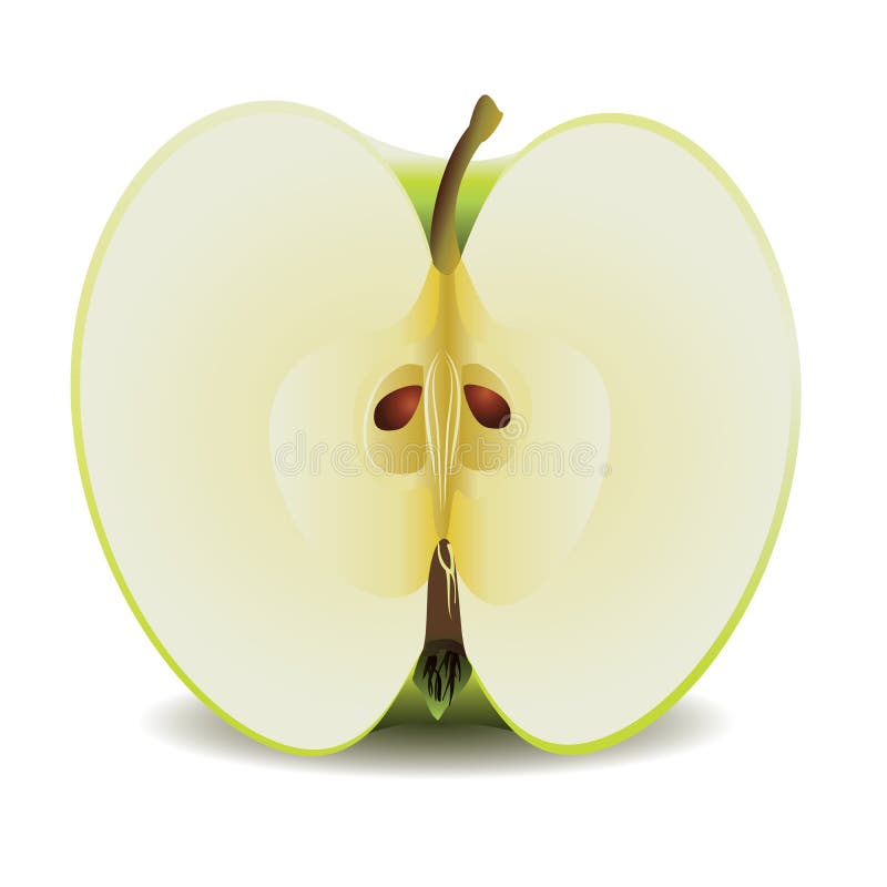Half Green Apple Stock Photos - Image: 32981693