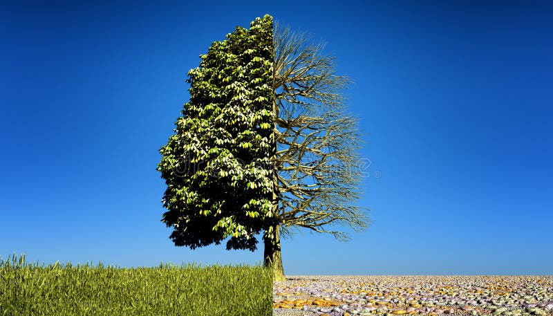Half green half bare tree stock illustration. Illustration of leaf ...