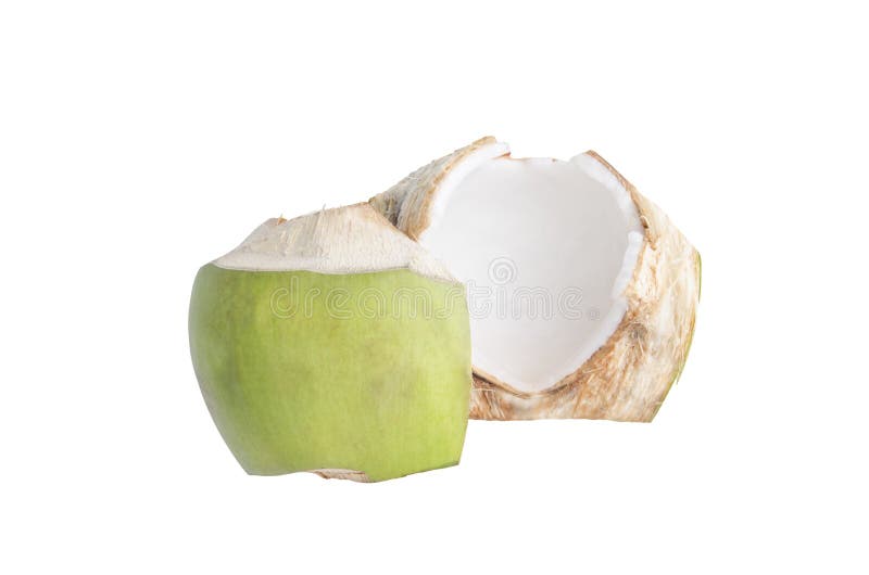 Coconut isolated stock photo. Image of exotic, sweet - 31433512