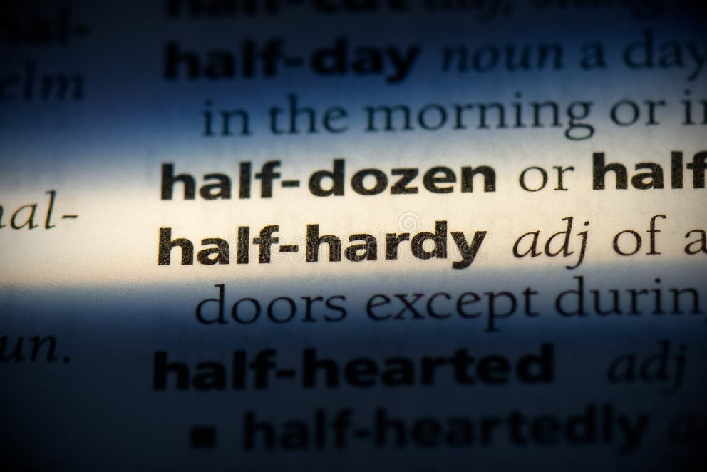 Half-hardy stock image. Image of highlighted, dictionary - 161576707