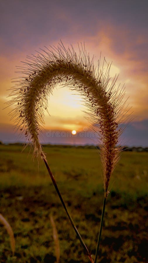 A Half of Infinity Life Circle Stock Photo - Image of sunset, infinity ...
