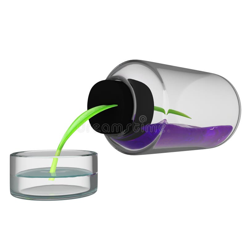 Leaf Starch Test. School Scientific Experiment Proves Photosynthesis in ...