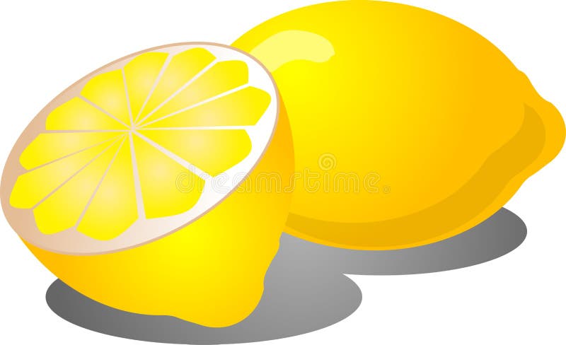 Half lemon stock vector. Illustration of fresh, slice - 2935833