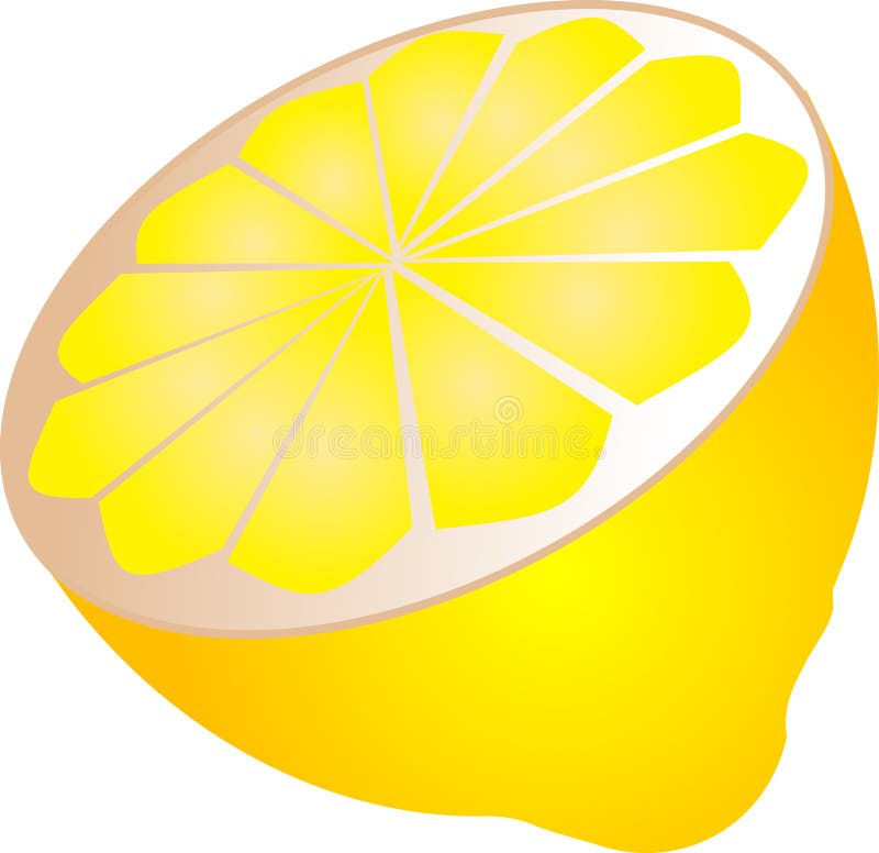 Half lemon stock vector. Illustration of fruit, fresh - 2935838