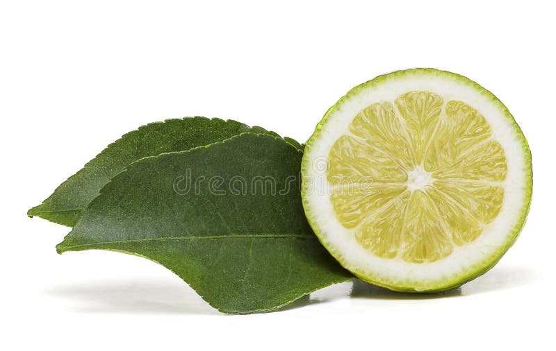 Half Lemon Fruit with Two Leaves on the Side Stock Image - Image of ...
