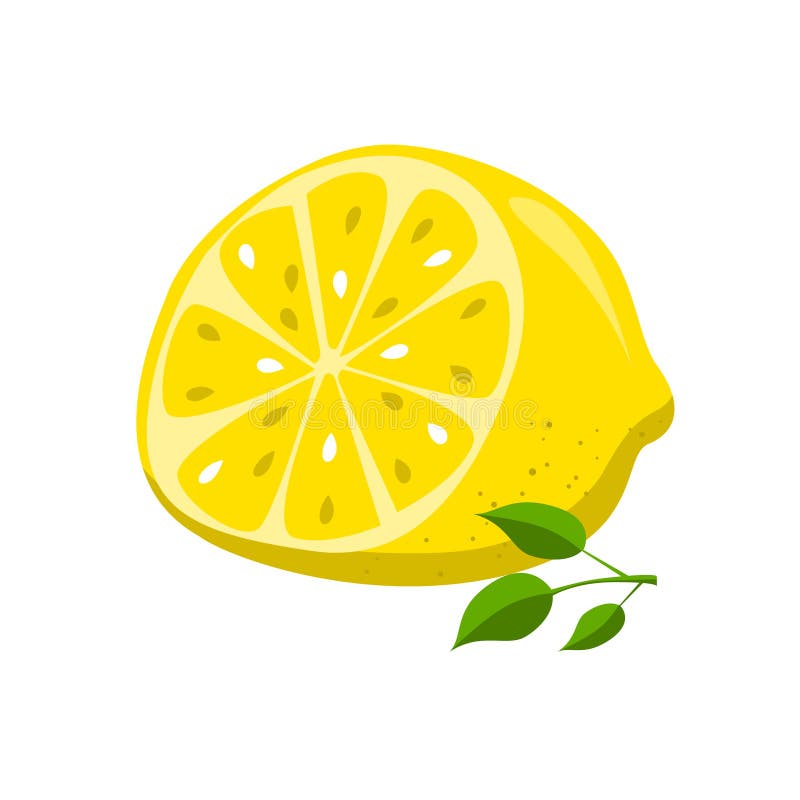 Half of lemon stock vector. Illustration of lemon, citric - 227681628