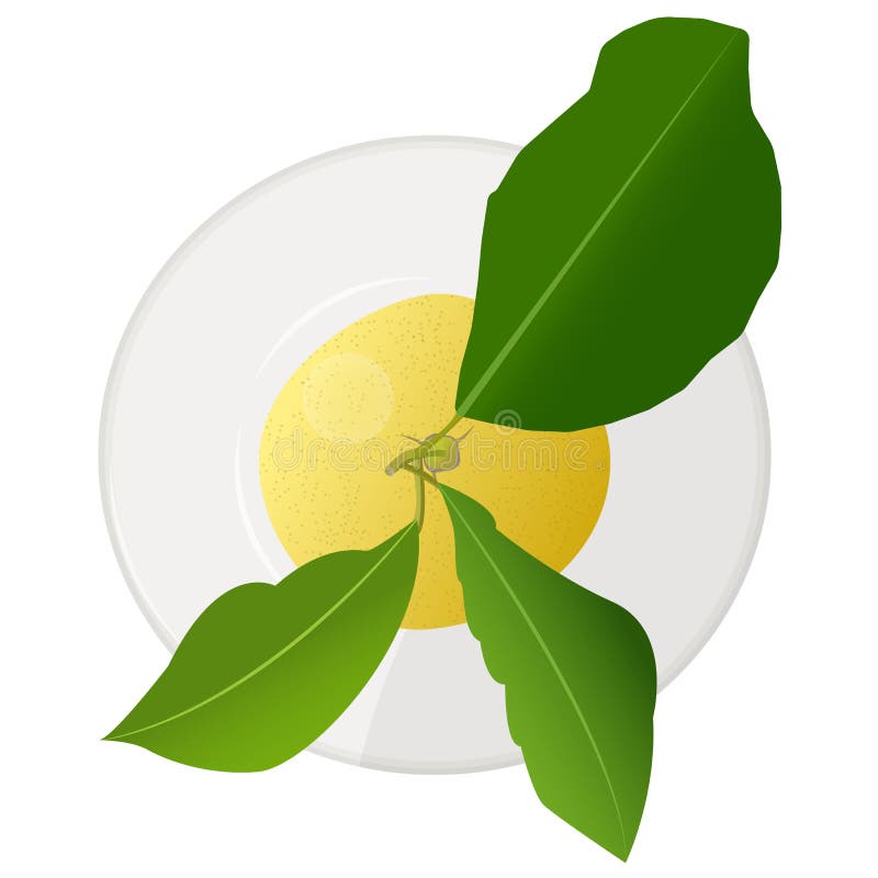 Half Plate Stock Illustrations – 1,975 Half Plate Stock Illustrations ...