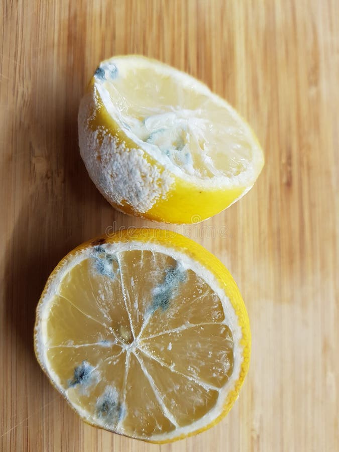 465 Mouldy Lemon Stock Photos - Free & Royalty-Free Stock Photos from ...