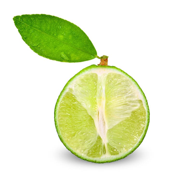 Half Lime Isolated on White Clipping Path Stock Photo - Image of green ...