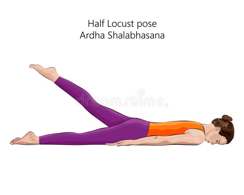 Shalabhasana Stock Illustrations – 47 Shalabhasana Stock Illustrations ...