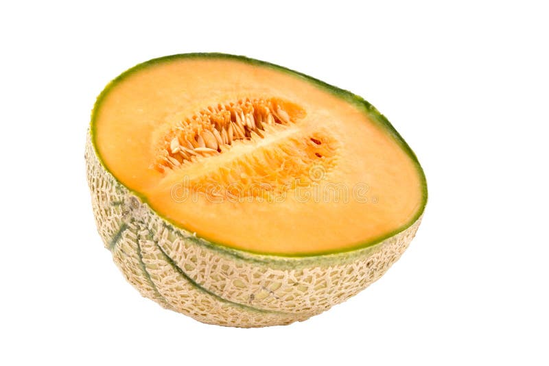 Half of Rock Melon stock photo. Image of fiber, shot - 31317032