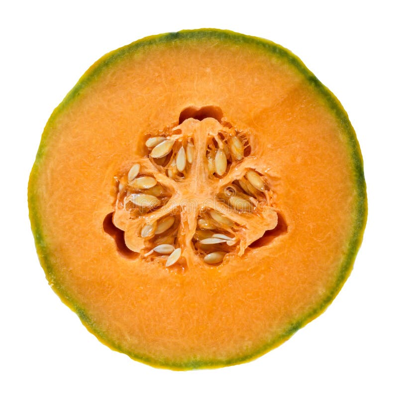 Half melon stock image. Image of healthy, fresh, nutrition - 54381815