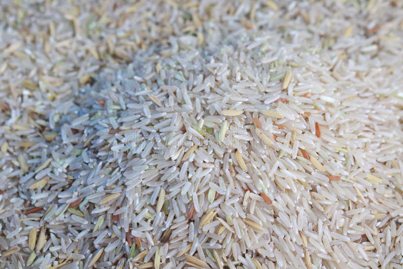 Half milled rice stock image. Image of carbohydrate, brown - 36224623