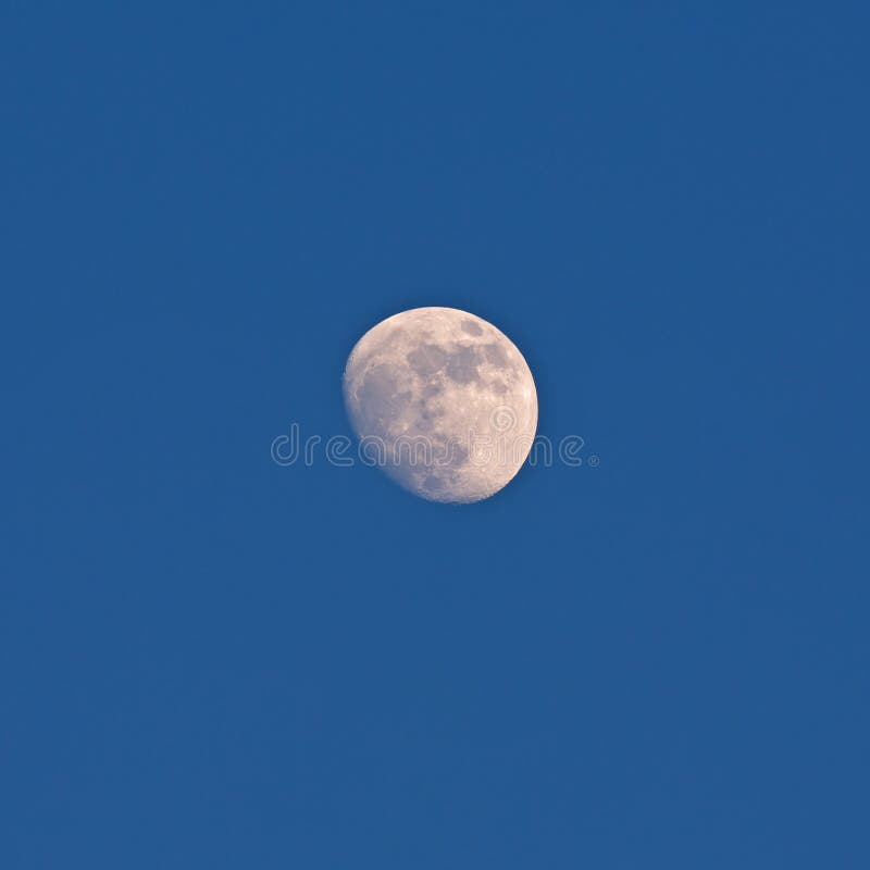 Bright Half Moon in a Dark Sky Stock Image - Image of growing, gibbous ...