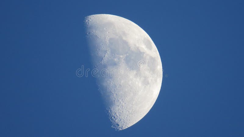 Half Moon on blue sky stock photo. Image of rose, park - 143651208