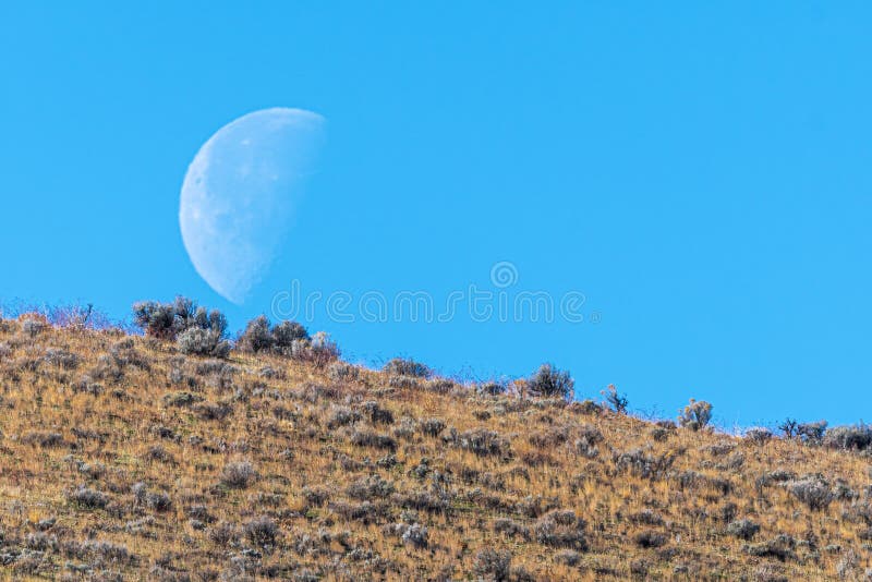 Half Moon and Prairie stock photo. Image of dark, empty - 239326600
