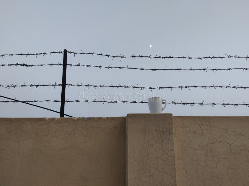 Concrete Half Moon Pipe Stock Photos - Free & Royalty-Free Stock Photos ...