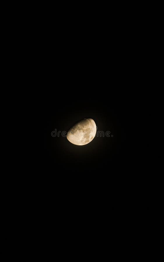 Half-moon in the Night Sky stock photo. Image of elegant - 288578086