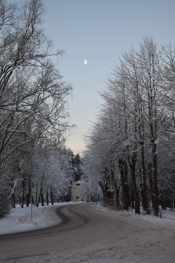 Half Moon Shining Over the Winter Road Stock Photo - Image of trees ...