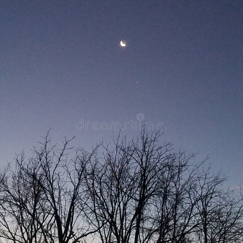 The Half Moon stock photo. Image of trees, moon, star - 106103602