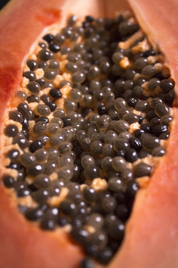Half of an Open Papaya with the Seeds Stock Image - Image of black ...