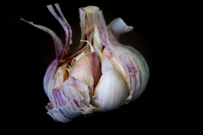 A half opened garlic stock image. Image of pungent, spices - 79240755