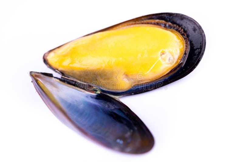 Half-opened Mussel Shell Fish on White Background Stock Photo - Image ...