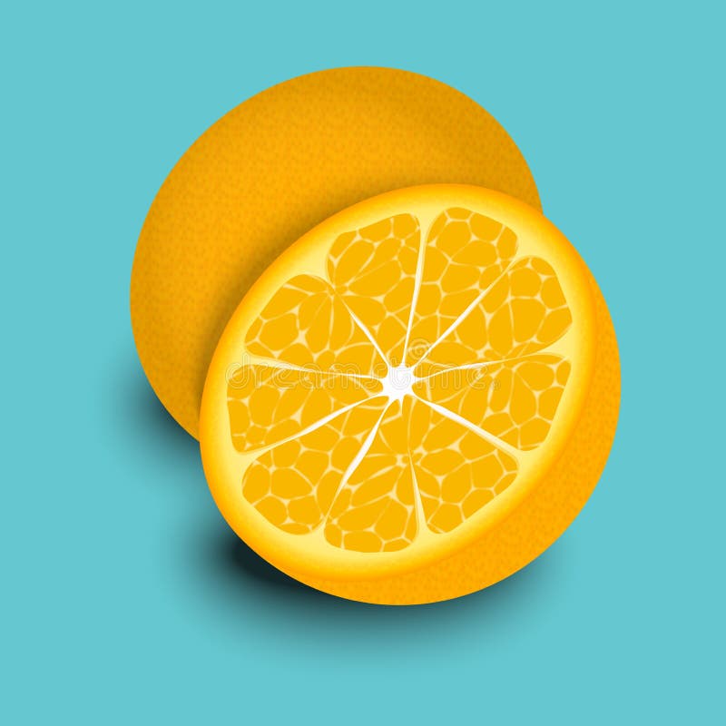 Half of Oranges stock illustration. Illustration of nature - 93206699