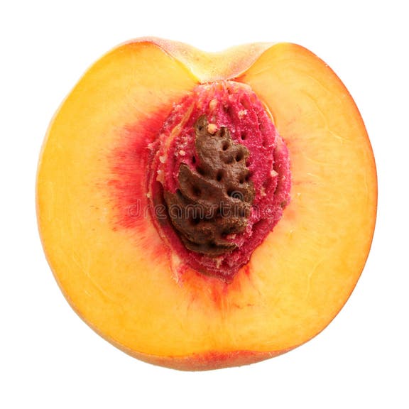 Half peach stock image. Image of vegetarian, round, fresh - 1221167