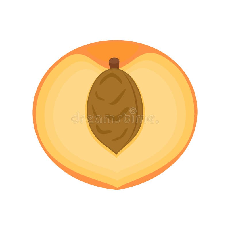 Half of Peach with Seed Isolated on White Background 3D Illustration ...