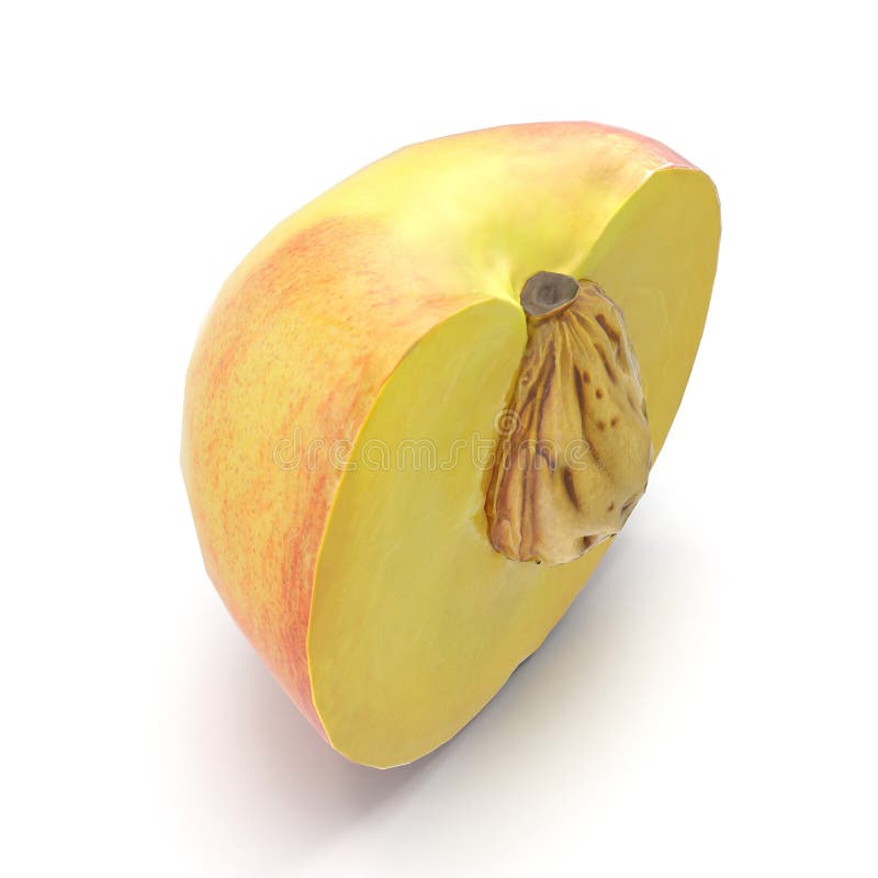 Half of Peach with Seed Isolated on White Background 3D Illustration ...