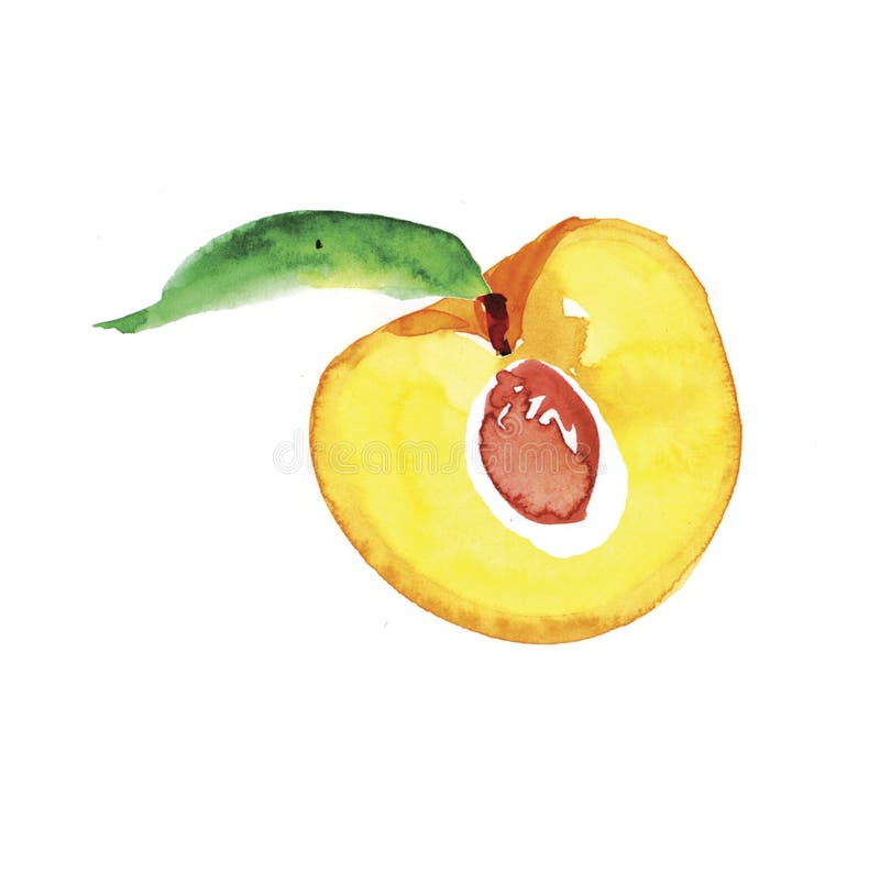 Half Peach Icon, Cartoon Style Stock Vector - Illustration of nature ...