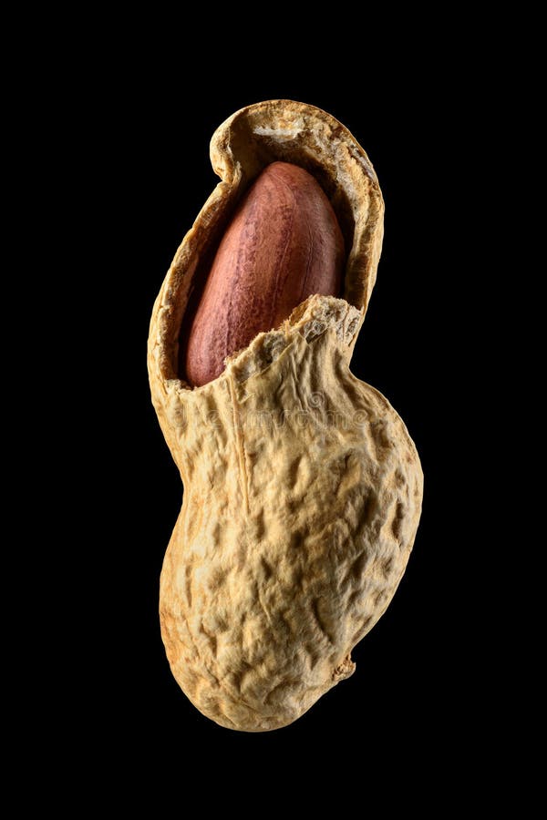195,492 Peanut Stock Photos - Free & Royalty-Free Stock Photos from ...