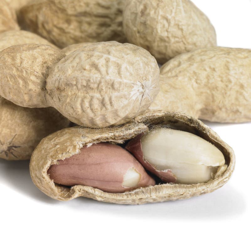 Half peeled peanut stock photo. Image of closed, fresh - 34902536