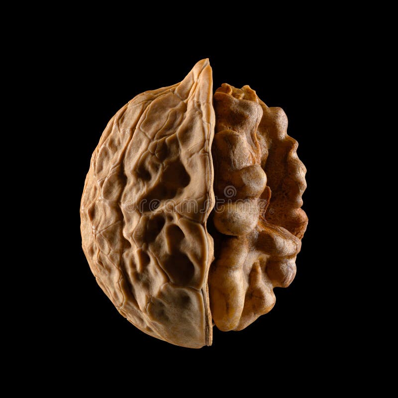 Half-peeled Walnut Showing the Kernel of a Nut Isolated on Black ...