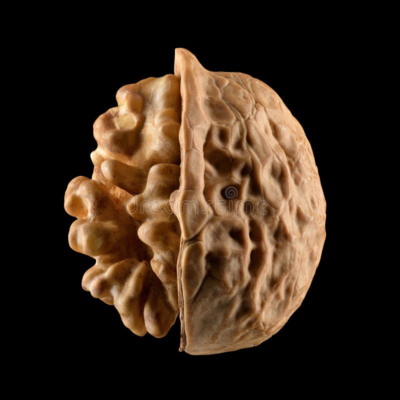 Half-peeled Walnut Showing the Kernel of a Nut Isolated on Black ...