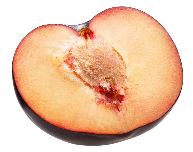 Half of Plum Isolated on the White Backhround Stock Photo - Image of ...
