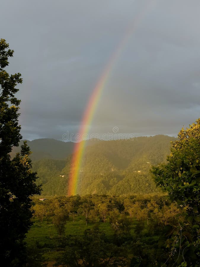 The Half Rainbow between the Forest Stock Photo - Image of forest ...