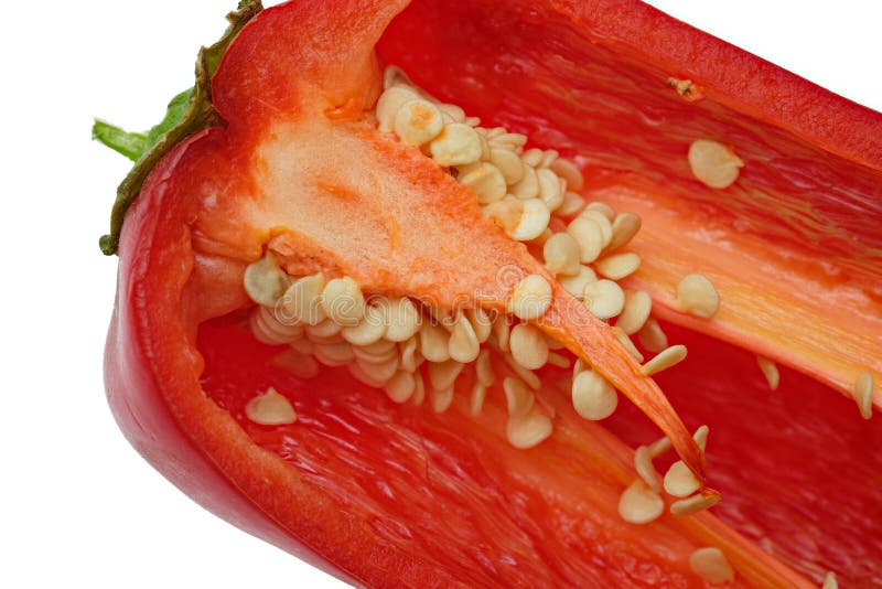 Half Red Bell Pepper Isolated on White Stock Photo - Image of peper ...