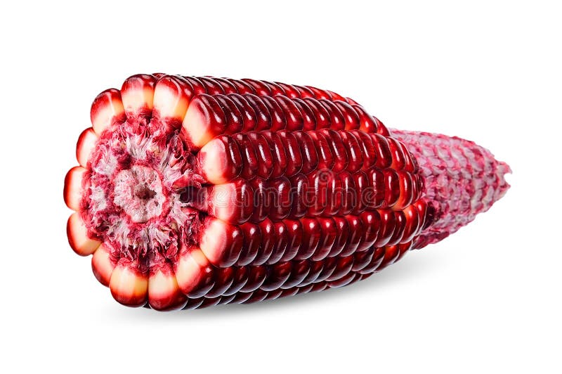 Half Red Corn Isolated on White Clipping Path Stock Image - Image of ...