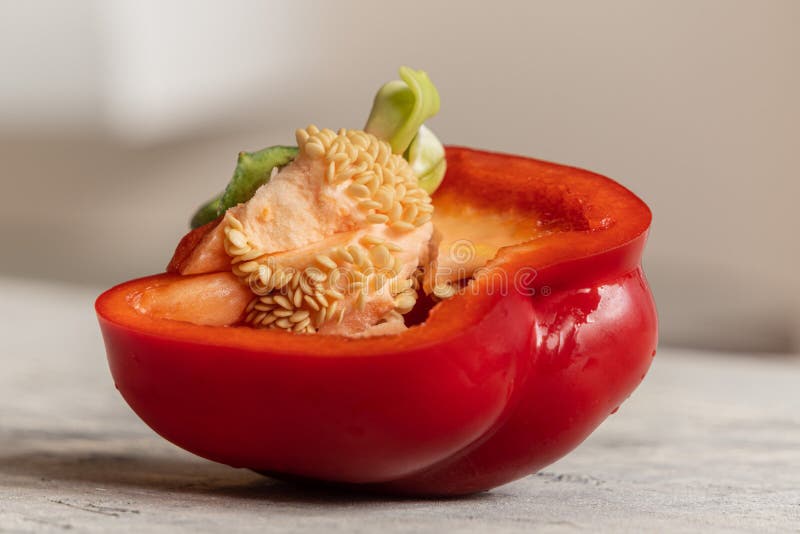 Half a Red Pepper with Seeds and a Green Tail on a Gray Concrete ...