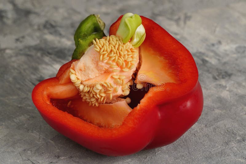 Sliced Pepper with Mold and Mildew Inside. Rotten, Spoiled Vegetable on ...