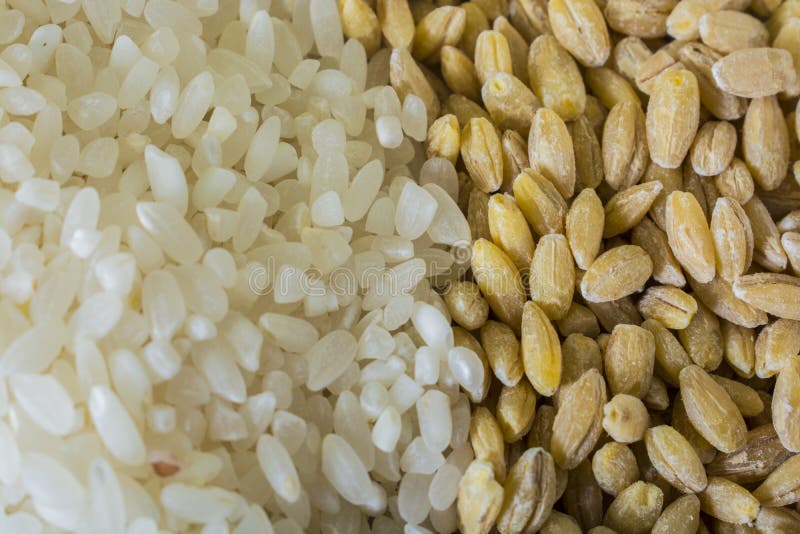 Half Rice Half Grain Wheat Background Stock Photo - Image of full ...