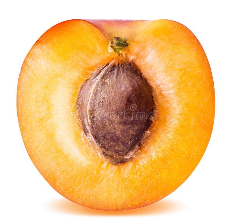 Apricot stock photo. Image of nature, fragrance, diet - 23075158