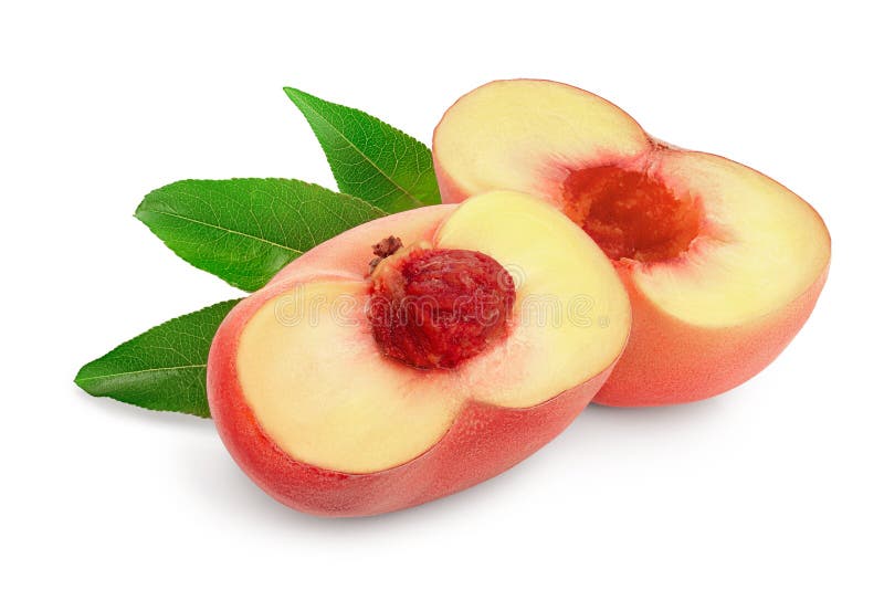 Squashed Doughnut Stock Photos - Free & Royalty-Free Stock Photos from ...